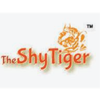 The Shy Tiger 2025 Company Profile: Valuation, Investors, Acquisition ...