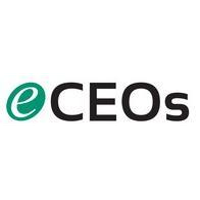 eCEOs ( IT Consulting and Outsourcing) 2026 Company Profile: Valuation ...