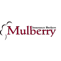 Mulberry Insurance 2026 Company Profile: Valuation, Investors ...