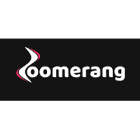 Zoomerang 2026 Company Profile: Valuation, Funding & Investors | PitchBook