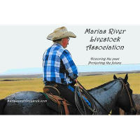 Marias River Livestock Association 2026 Company Profile: Valuation ...
