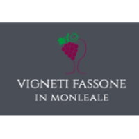 Fassone 2026 Company Profile: Valuation, Investors, Acquisition | PitchBook