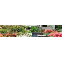 Tuff Dogg Lawn Care 2026 Company Profile: Valuation, Funding ...