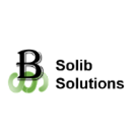 Solib Solutions 2026 Company Profile: Valuation, Funding & Investors ...