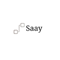 Saay 2026 Company Profile: Valuation, Funding & Investors | PitchBook
