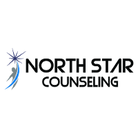 North Star Counseling 2026 Company Profile: Valuation, Investors ...