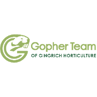 Gopher Team 2026 Company Profile: Valuation, Funding & Investors ...