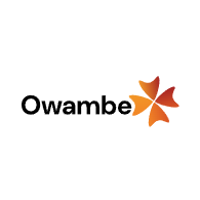 Owambe Technologies 2026 Company Profile: Valuation, Funding ...
