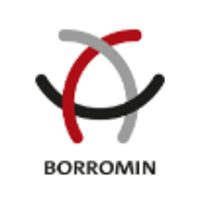 Borromin Capital Management investment portfolio | PitchBook