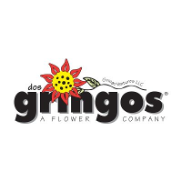 Dos Gringos 2026 Company Profile: Valuation, Funding & Investors ...