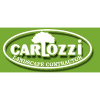 Carlozzi 2026 Company Profile: Valuation, Funding & Investors | PitchBook