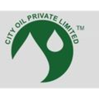 City Oil 2026 Company Profile: Valuation, Funding & Investors | PitchBook