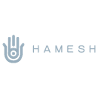 Hamesh Medical 2026 Company Profile: Valuation, Funding & Investors ...