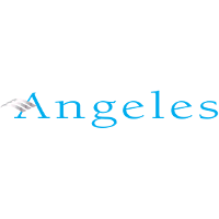 Angeles Direct Equity Fund 1: Performance | PitchBook