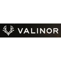 Valinor Enterprises 2026 Company Profile: Valuation, Funding ...