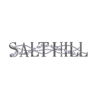 Salt Hill Gallery 2026 Company Profile: Valuation, Funding & Investors ...