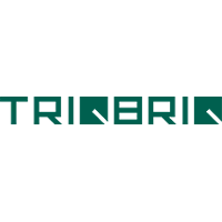 TRIQBRIQ 2026 Company Profile: Valuation, Funding & Investors | PitchBook