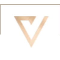Golden Vision Capital (Singapore) Profile: Commitments & Mandates ...