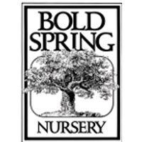 Bold Springs 2026 Company Profile: Valuation, Funding & Investors ...