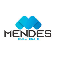 Mendès Electricité 2026 Company Profile: Valuation, Investors ...