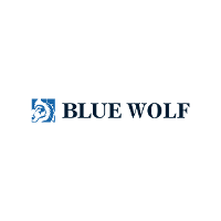 Blue Wolf Capital Partners investment portfolio | PitchBook