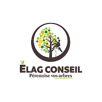 Elag Conseil 2026 Company Profile: Valuation, Investors, Acquisition ...