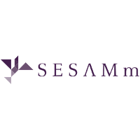SESAMm 2026 Company Profile: Valuation, Funding & Investors | PitchBook