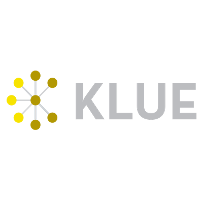 Klue (Healthcare Technology Systems) 2026 Company Profile: Valuation ...
