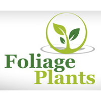 Foliage Plants 2026 Company Profile: Valuation, Funding & Investors ...