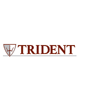 Trident Process Systems 2025 Company Profile: Valuation, Funding ...