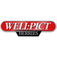 WellPict Berries 2026 Company Profile: Valuation, Investors ...