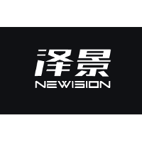 New Vision Electronics 2026 Company Profile: Stock Performance ...
