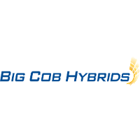 Big Cob Hybrids 2026 Company Profile: Valuation, Investors, Acquisition ...