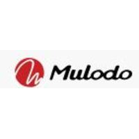 Mulodo 2026 Company Profile: Valuation, Funding & Investors | PitchBook