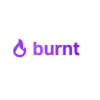 Burnt(Information Services) 2026 Company Profile: Valuation, Funding ...