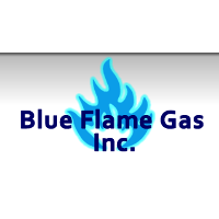 Blue Flame Gas (Other Energy Services) 2026 Company Profile: Valuation ...