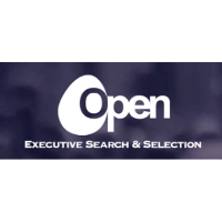 Open Executive Search & Selection Company Profile: Service Breakdown ...