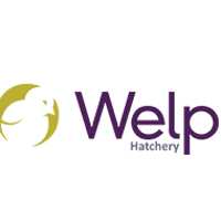 Welp Hatchery 2026 Company Profile: Valuation, Investors, Acquisition ...