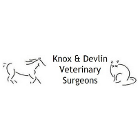 Knox and Devlin Veterinary Surgeons 2026 Company Profile: Valuation ...