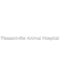 Pleasantville Animal Hospital Of Fallston 2026 Company Profile ...