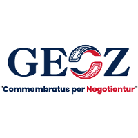 GEOZ Global 2026 Company Profile: Valuation, Funding & Investors ...