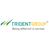 Trident Group 2026 Company Profile: Stock Performance & Earnings ...