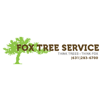 Fox Tree Service 2026 Company Profile: Valuation, Investors ...