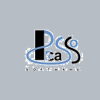 Picasso Software 2026 Company Profile: Valuation, Funding & Investors ...