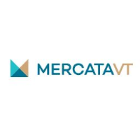 Mercata VT 2026 Company Profile: Valuation, Funding & Investors | PitchBook