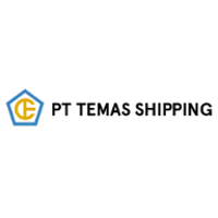 Temas Shipping 2025 Company Profile: Stock Performance & Earnings ...