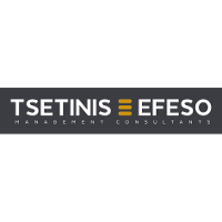 TSETINIS-EFESO Company Profile: Service Breakdown & Team | PitchBook