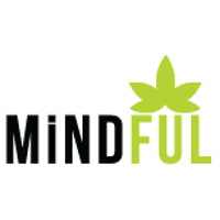 MiNDFUL (Consumer Non-Durables) 2025 Company Profile: Valuation ...