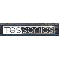 Tessonics 2026 Company Profile: Valuation, Funding & Investors | PitchBook