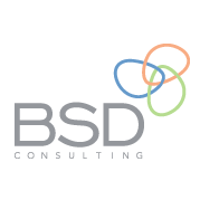 Bsd Consulting 2026 Company Profile: Valuation, Investors, Acquisition ...
